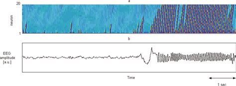 A Spatiotemporal Pattern Induced In An Excitable Medium Composed Of Download Scientific