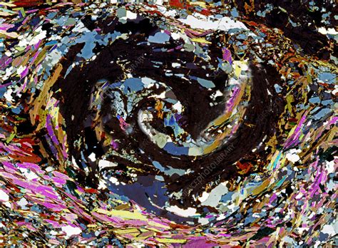 Snowball Garnet Light Micrograph Stock Image C057 6699 Science Photo Library