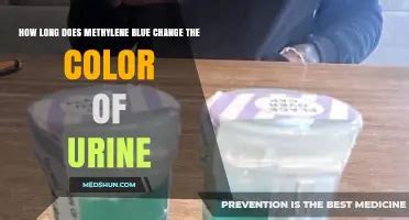 Meth In Urine Detection Times And Calculator Medshun