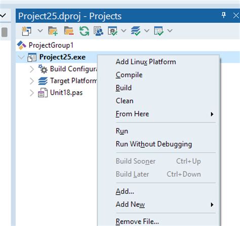 First Steps With Fmxlinux Delphi Praxis