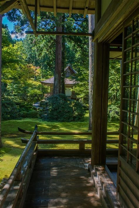 三千院②青もみじと秋海棠 鏡花水月
