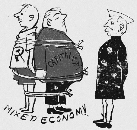 Mixed Economic System An Introduction Into Economics