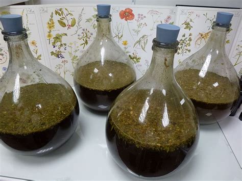 Difference Between Maceration And Percolation Pediaacom