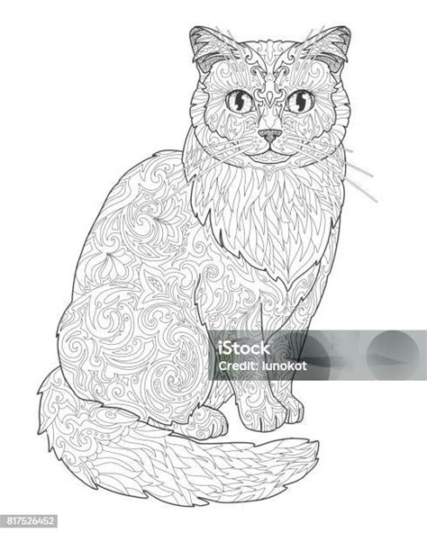 성인을 위한도 서 페이지를 색칠 하는 고양이 낙서 벡터 그림을 흰색 배경에 고립입니다 가축에 대한 스톡 벡터 아트 및 기타 이미지 가축 검은색 고양잇과 Istock