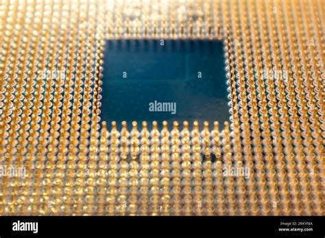 cpu microchip golden pins contacts close up desktop computer computing