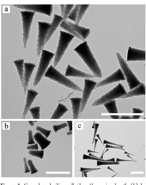 Figure 3 From Synthesis Of Cone Shaped Colloids From Rod Like Silica Colloids With A Gradient In