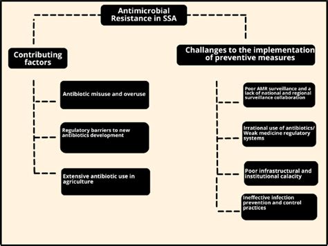 Amr Contributing Factors And Challenges To Implementation Of Preventive