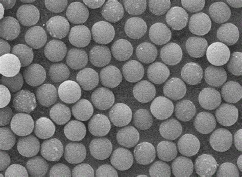 生物素 聚苯乙烯微球 Biotin Polystyrene Particles 0 1 w v 0 05 0 1 um 5 mL