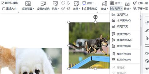 wps如何整齐排列图片 360新知