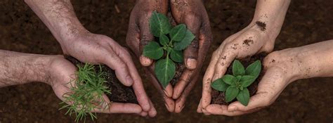 Evanthia Evanthia Added A New Photo