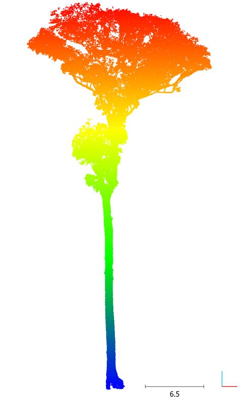 Drone Based Laser Scanning Of Tropical Forests For Biomass Cal Val Earth Online
