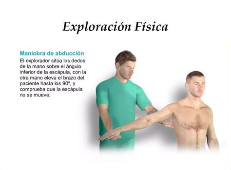 Exploracion Física Del Hombro Pdf Physical Therapy Wellness