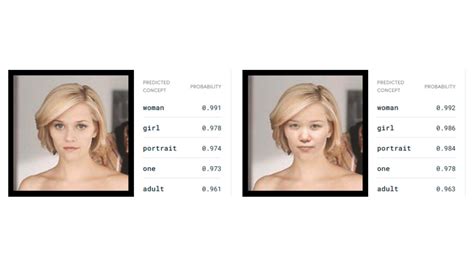 Brighter Ai Deep Natural Anonymization For Ai Dwih New York