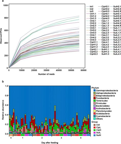 High Throughput Sequencing Information A Rarefaction Curves Of Otus Download Scientific