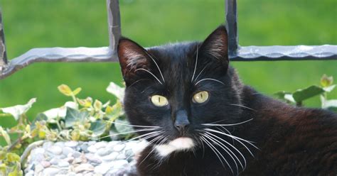 Windows Defender Update Fix Blogoliver Arpde