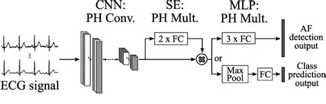 Figure 1 From Efficient Ecg Based Atrial Fibrillation Detection Via
