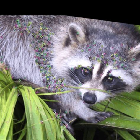 Github Uoiptransforms Image Augmentation With Simultaneous