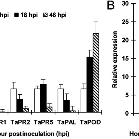Quantitative Reverse Transcription Polymerase Chain Reaction Assays For Download Scientific