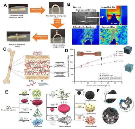 Development Of Bio Based Materials Synthesis Characterization And Applications