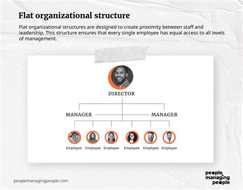 Organization Structure Top Types And How To Choose The Best One