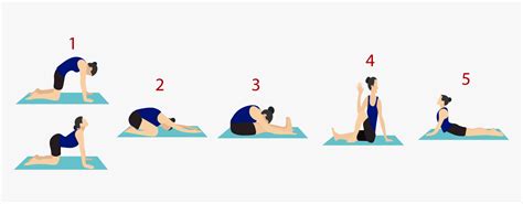 How Scoliosis Exercises And Ergonomics Help Achieve A Healthy Spine