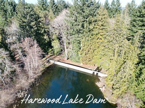 Harewood Dam