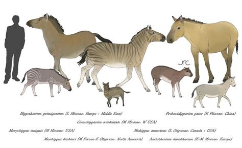 Giddyup Equids 2 By Artbyjrc On Deviantart Prehistoric Animals