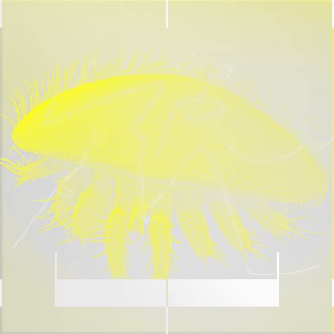 Lil Data I Was Born To Code Live Code 2013 2015 Lyrics And