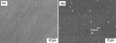 Microstructure Of Ht L Ded Inconel 718 From The Plane Perpendicular To Download Scientific