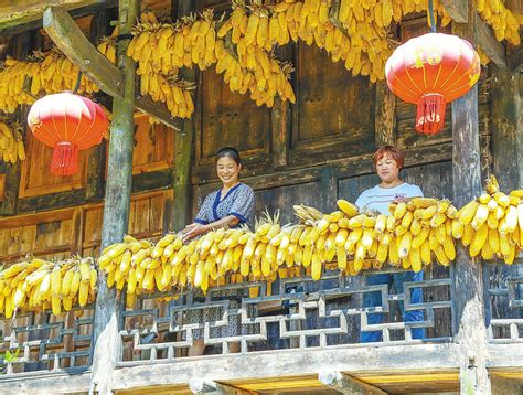 宣恩彭家寨 土家族古吊脚楼群活化 荆楚网 湖北日报网