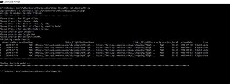Building A Python Based Airline Solution Using Amadeus Api Satyaki De