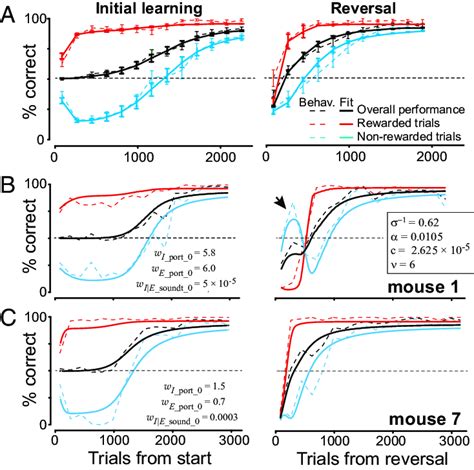 Initial Connectivity Can Explain A Large Fraction Of The Download
