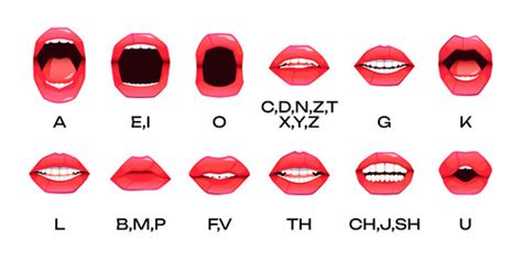 Cartoon Mouth Animation Lip Sync Set Royalty Free Vector