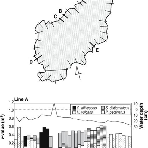 Transect Lines For The Vegetation Survey And An Example Of Spatial