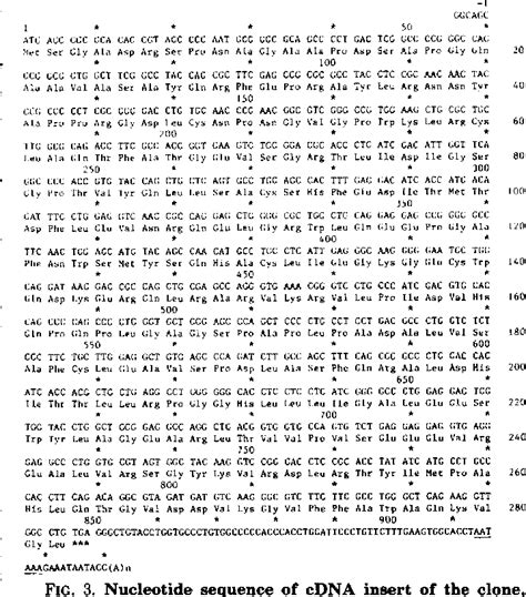 Figure 3 From Molecular Cloning Of Cdna And Chromosomal Assignment Of