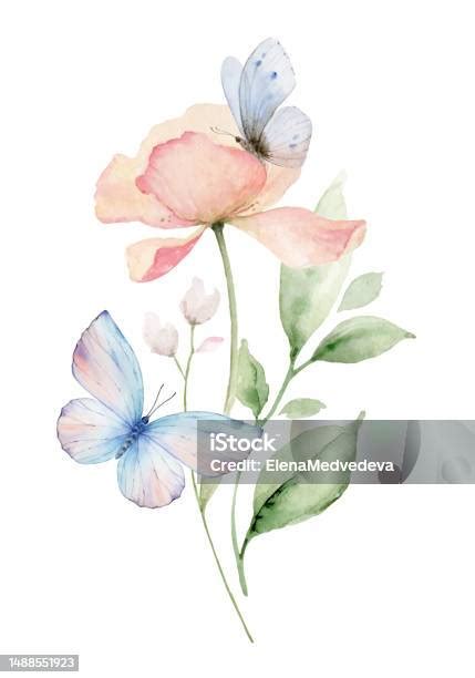 야생화와 나비 수채화 벡터 꽃다발은 흰색 배경에 분리되어 있다 아름 답게 손으로 그린 꽃 그림입니다 꽃 식물에 대한 스톡 벡터 아트 및 기타 이미지 Istock