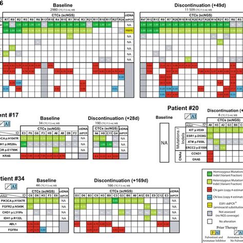 Integrative Heatmap Of Putative Driver Genomic Alterations Detected By Download Scientific