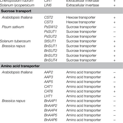 Source Sink Relationships In Plants A Whole Plant Movement Of