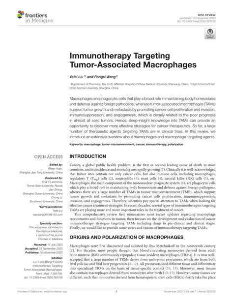 Pdf Immunotherapy Targeting Tumor Associated Macrophages
