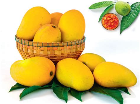 අඹ ගැන හැමදේම මව්බිම