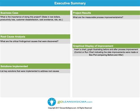 Executive Summary GoLeanSixSigma Com