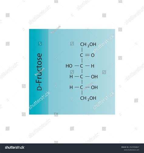 D Fructose Skeletal Structure Diagramketose Compound Molecule Stock Vector Royalty Free