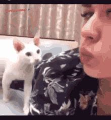 Hot Pussy S Tenor
