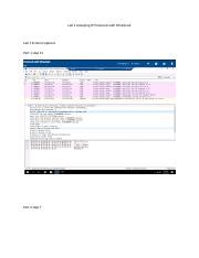 Lab Lab Analyzing IP Protocols With Wireshark Docx Lab Analyzing IP Protocols With