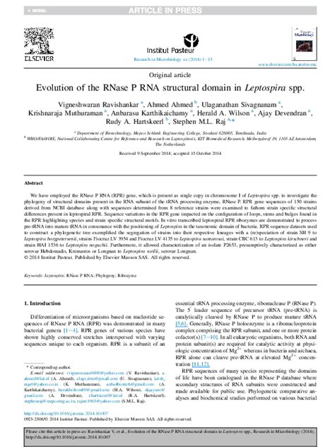 Pdf Evolution Of The Rnase P Rna Structural Domain In Leptospira Spp