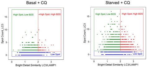 How To Assess Autophagy By Flow Cytometry