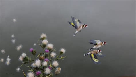 Rodger Mcphail Goldfinches And Thistles Rountree Tryon