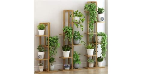 2 სურნელოვანი მცენარე ინტერიერისთვის