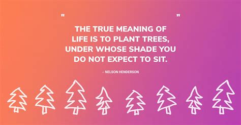 The 77 Absolute Best Quotes About Trees
