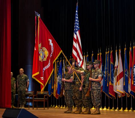 Tecom Relief And Appointment